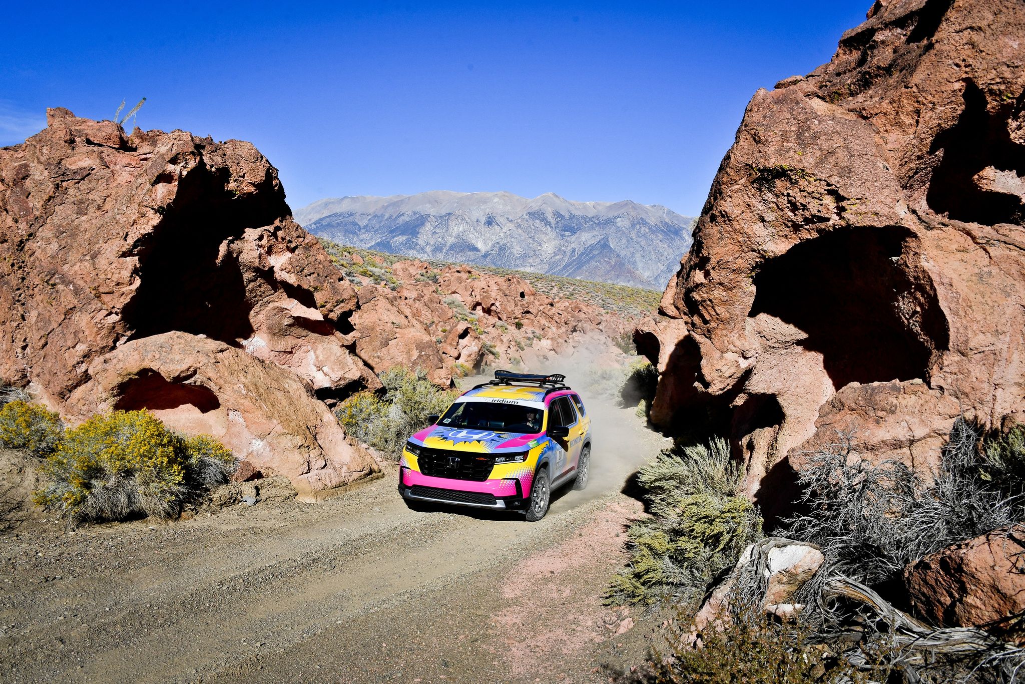 Home From the 2023 Rebelle Rally: An Incredible Honda Journey